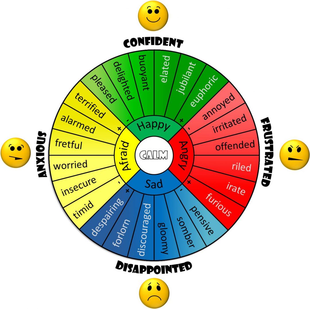 Emotional vocabulary wheel - pointsfess